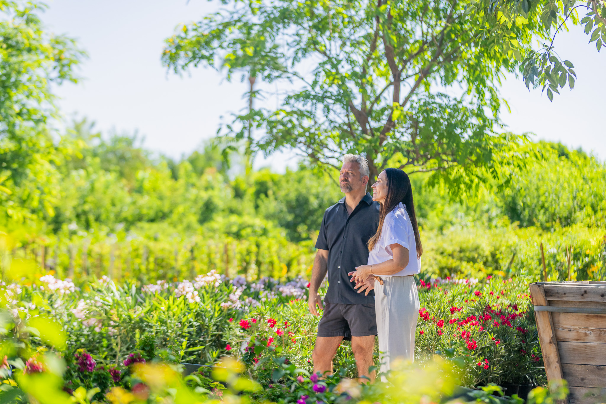 New Trees Arriving Daily. Get on our Planting Schedule Now!
